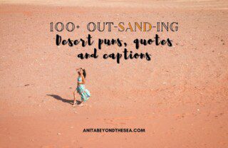 100+ Desert puns, Desert quotes and desert captions for Instagram