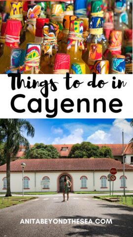 Things to do in Cayenne, what to see and do from a local