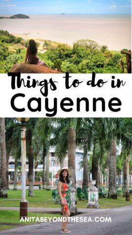 Things to do in Cayenne, what to see and do from a local