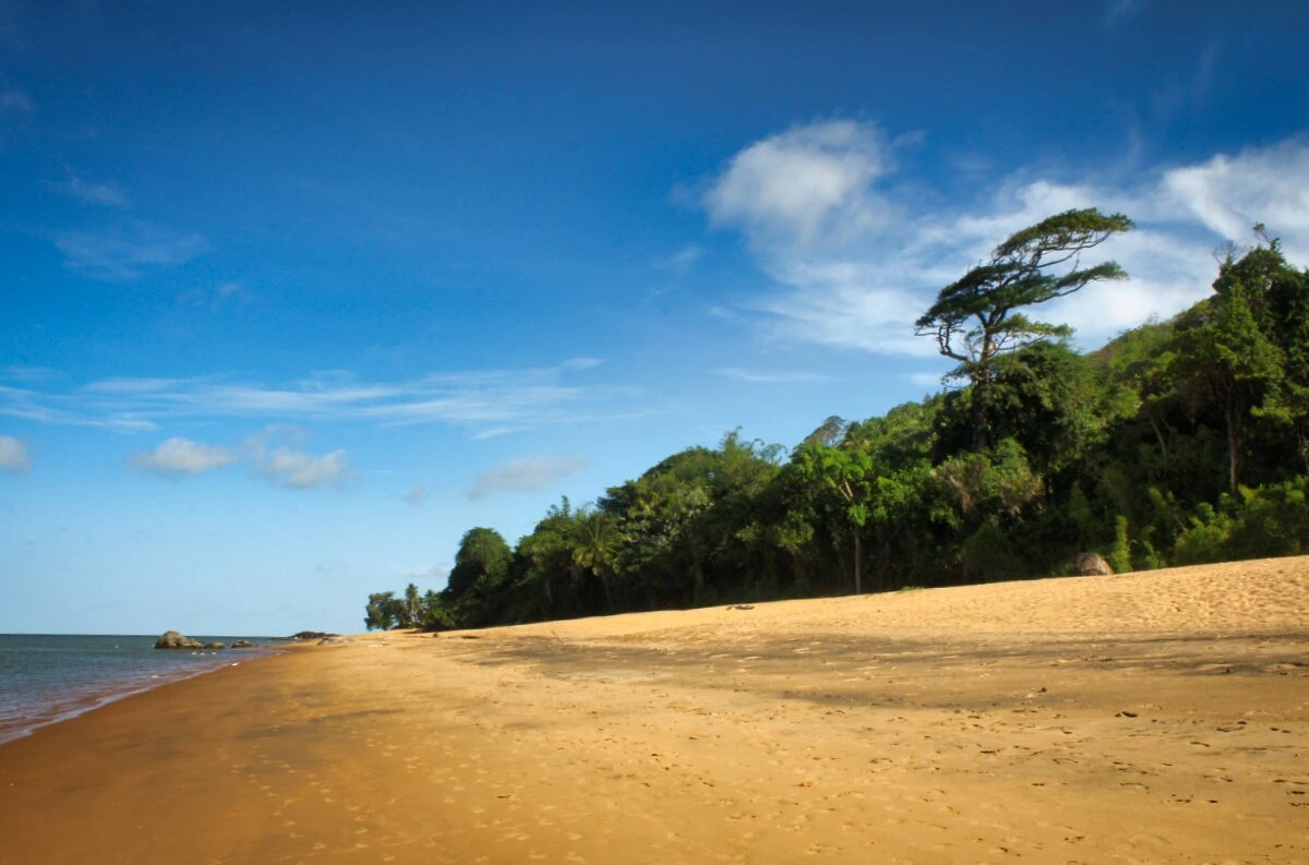 The Most Beautiful Beaches In French Guiana